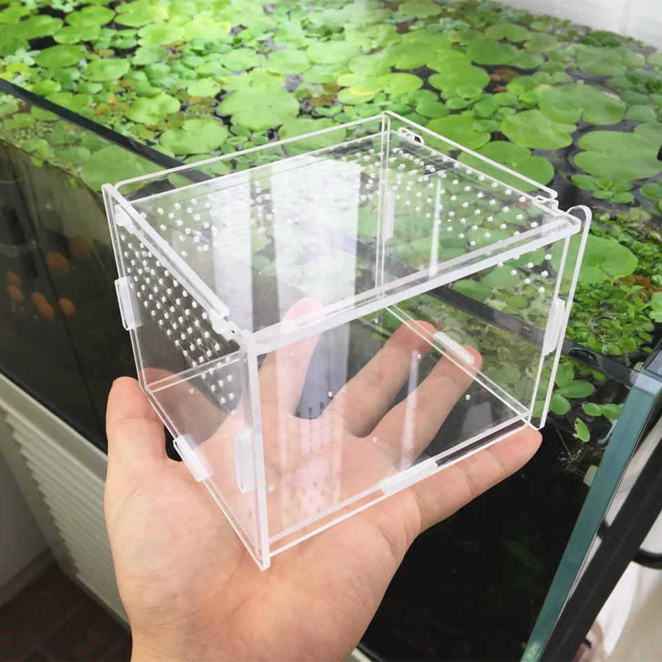 transparent acrylic box Terrarium for reptile and amphibian cricket ...