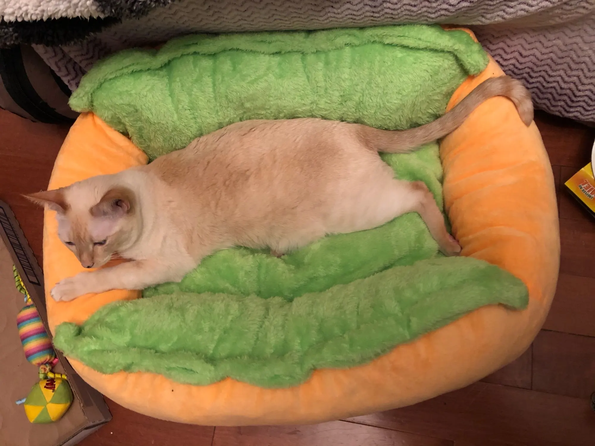 Hot Dog Dog Bed | Funny Dog Beds – DogMega.Com