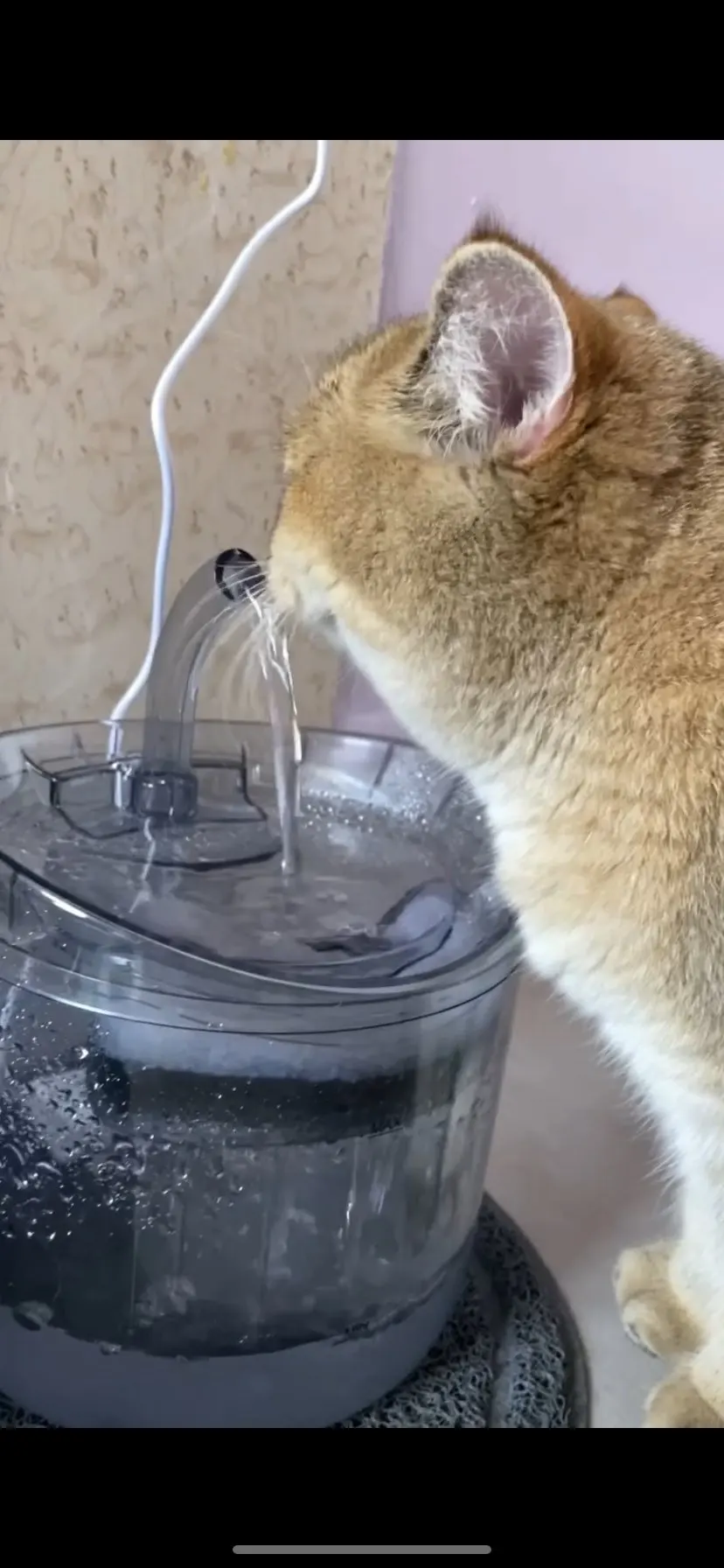 Поилка ROJECO автоматическая для кошек, питьевой фонтанчик 2 л, с ...