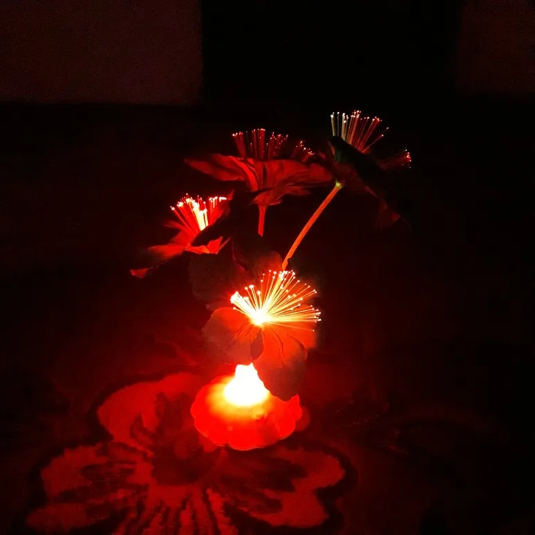 LED Fiber Optic Light Flower Vase Decor - Life Changing Products