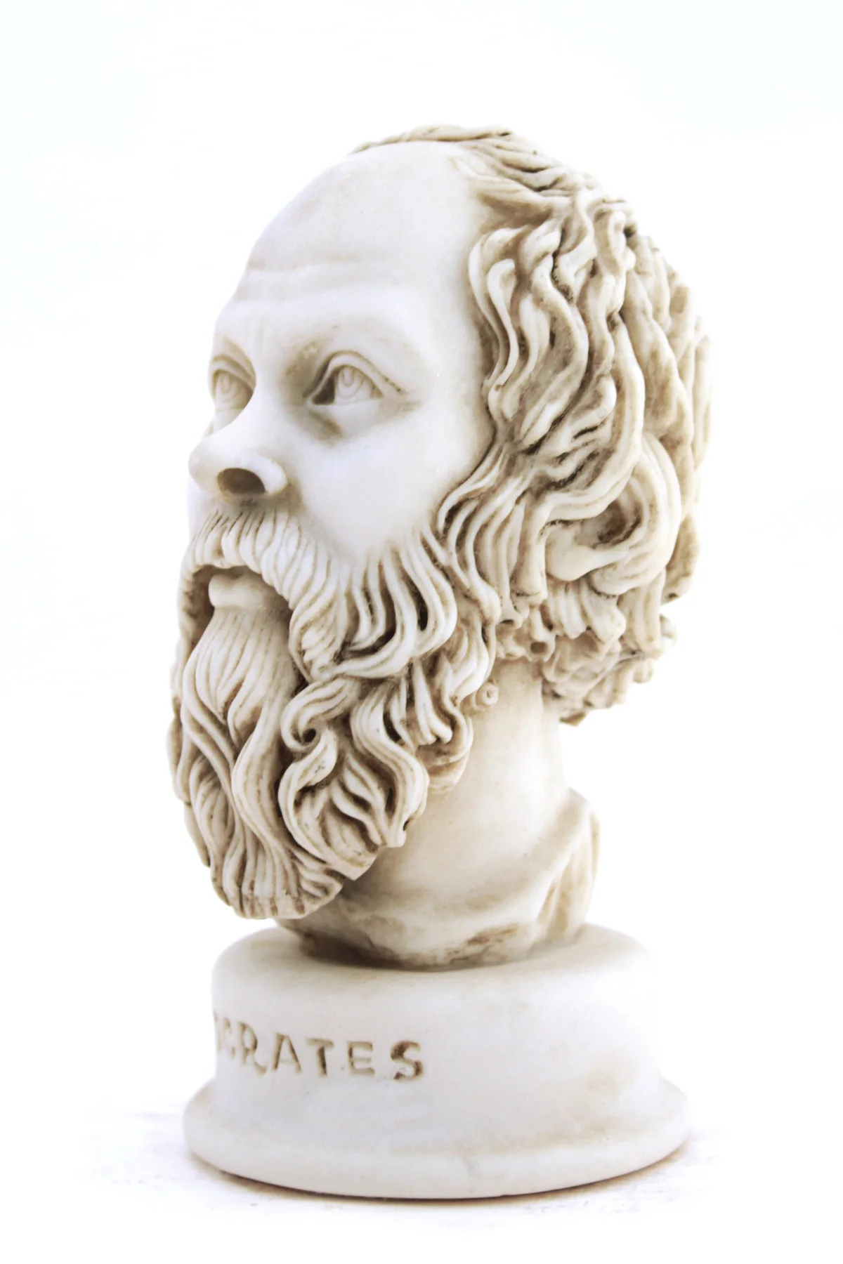 Socrates Bust