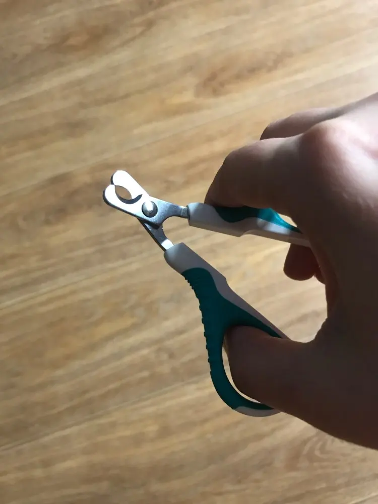 Safety Claw Cutter | Petsmaker Store