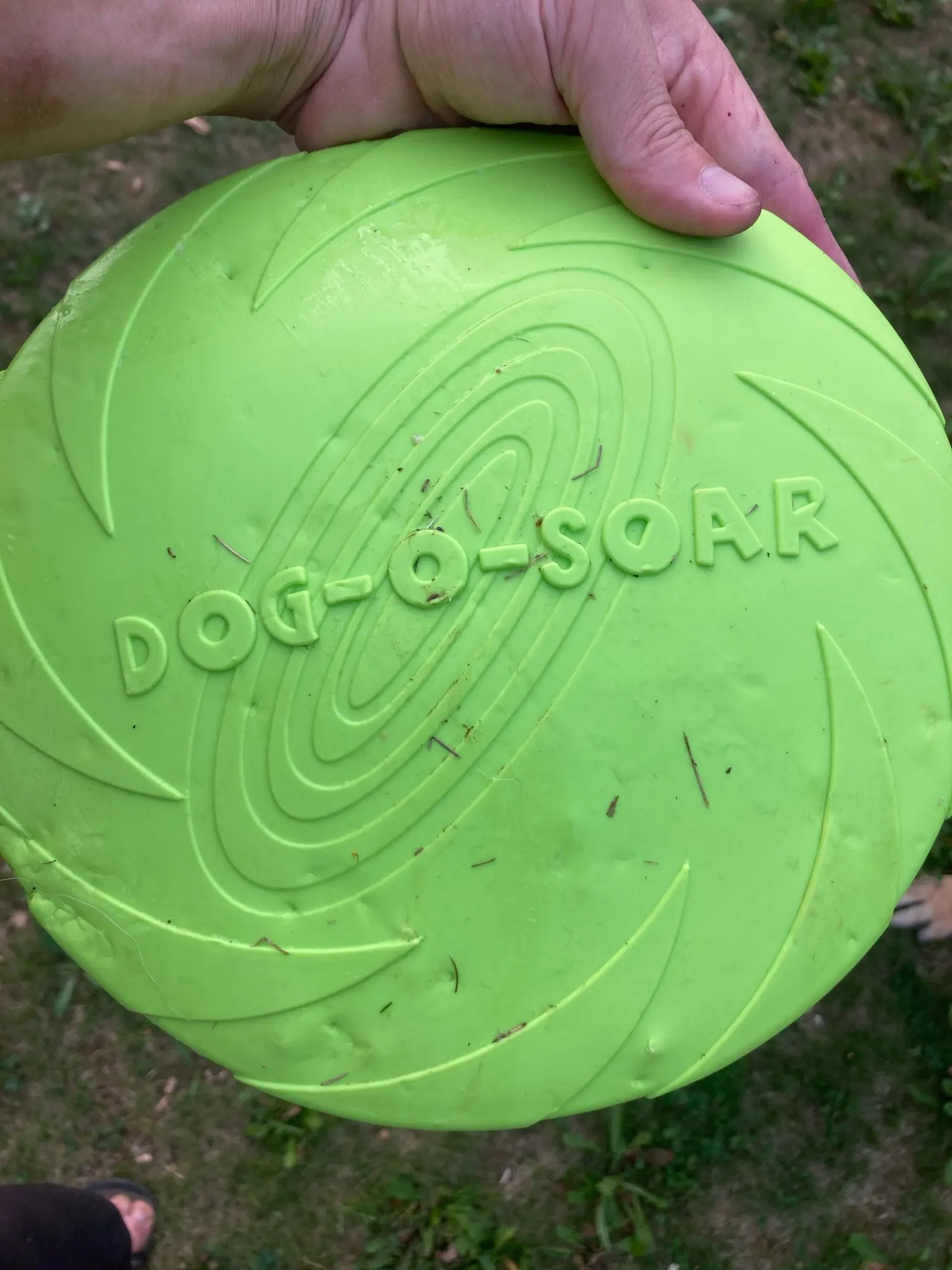 Interactive Dog Toys | Dog Ring Toy | Dog Training Toys - DogMega.Com