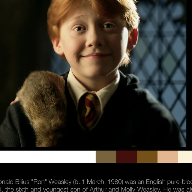 Ron Weasley Portrait