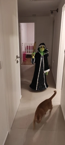 Alien Lord Costume Cosplay for Children Halloween Costume – All ...