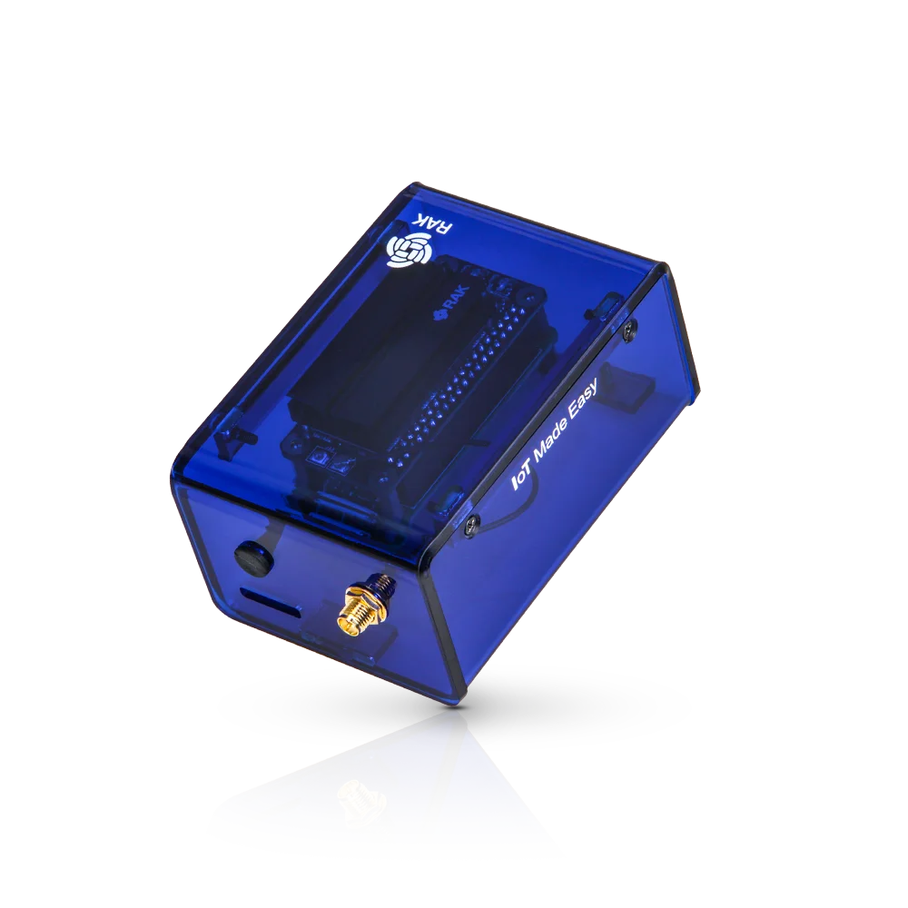 Wisgate Developer D0 / D0+ | Rak7246 / Rak7246g | Rak2246 + Raspberry ...