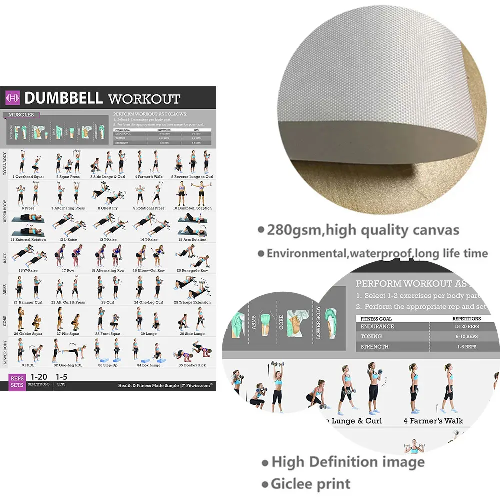 Dumbbell Workout Chart