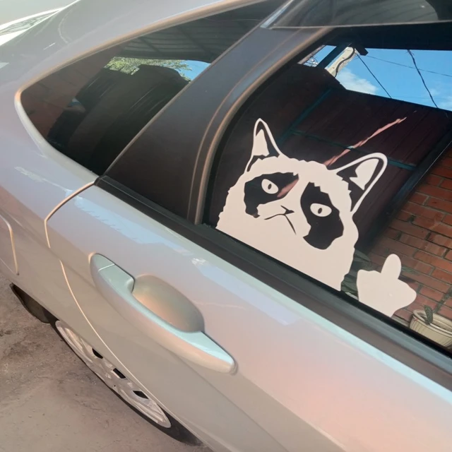 Grumpy Cat Middle Finger