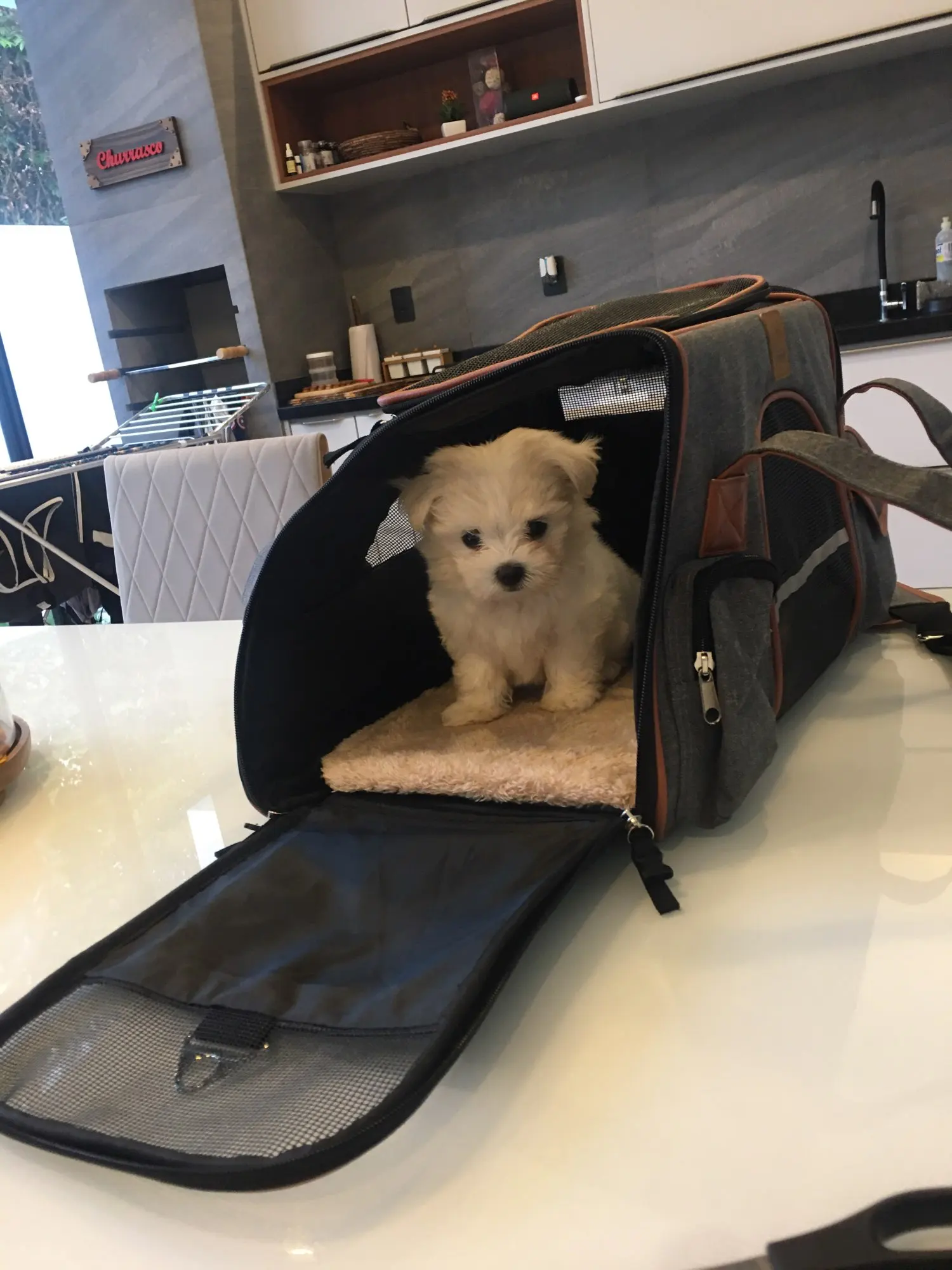 DogMEGA Luxurious Dog Travel Carrier | Airline Dog Carrier | Puppy ...