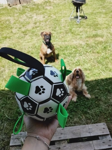 DogMEGA™ Outdoor Training Interactive Rope Football - DogMega.Com