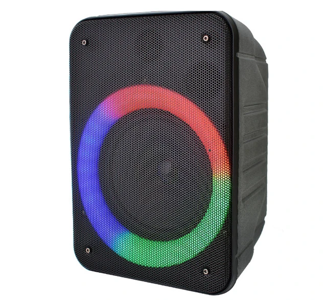 Big Sound Box Speaker