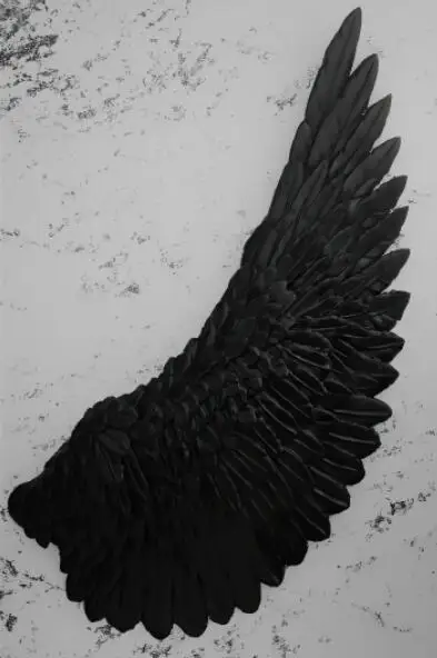 Dark Angel Wings Drawing Side View
