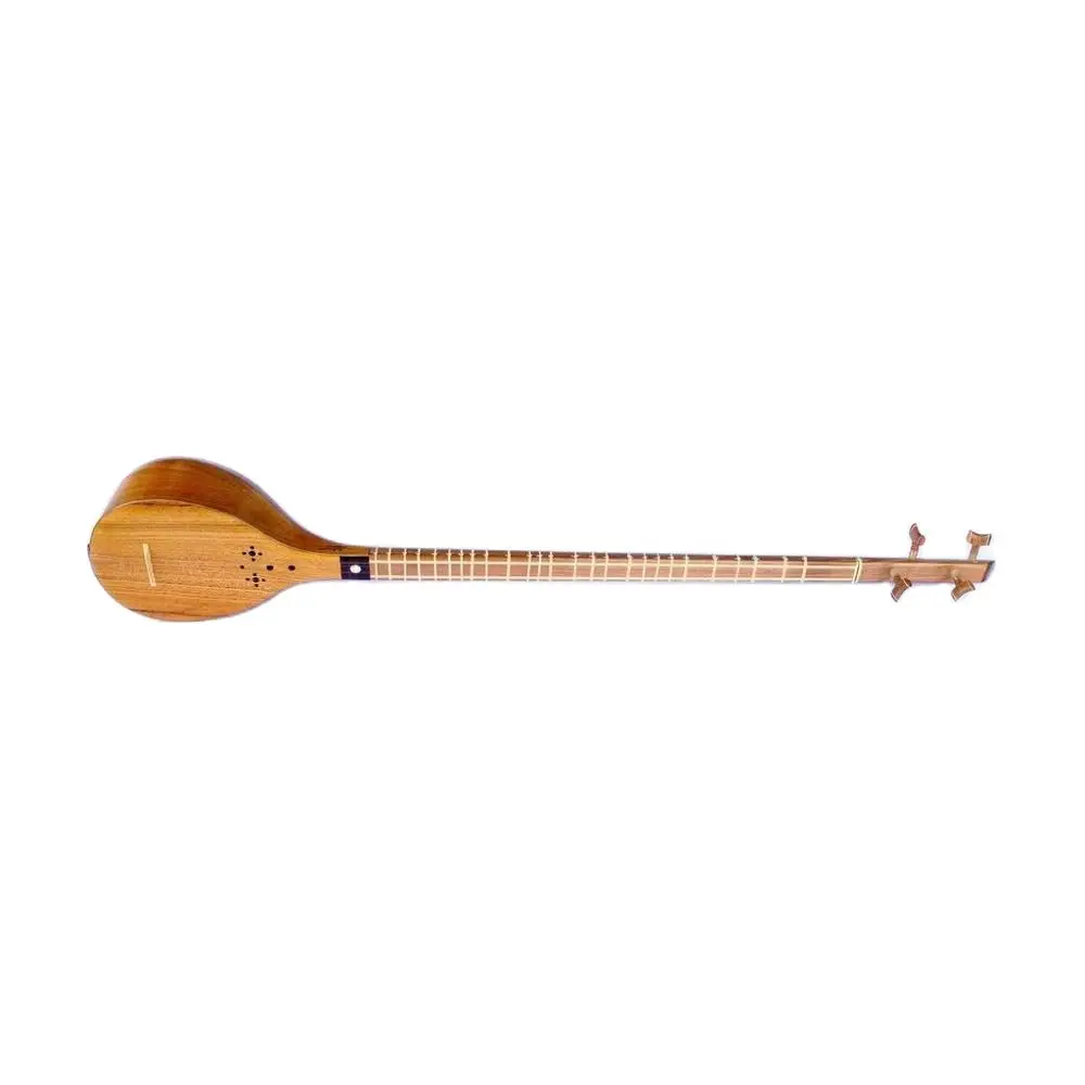 Setar Instrument