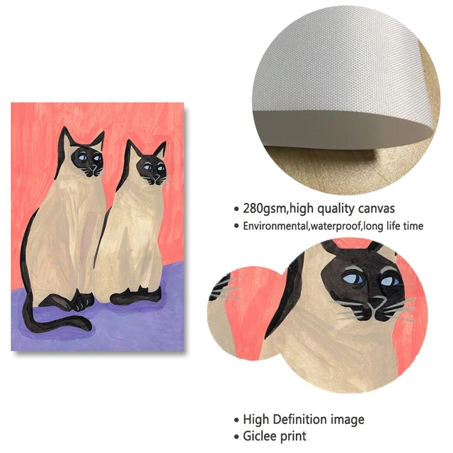 Grappige Zwart Witte Kattenfoto's 700 Kat Met Gele Ogen Foto's,