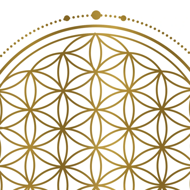 Sacred Geometry Fruit Of Life