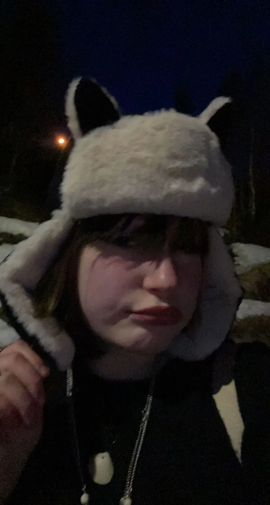 Russian Hat With Cat Ears – Playful Meow