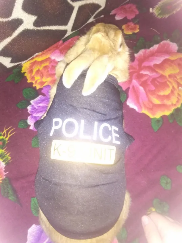 Dog Cop Costume Pet Cosplay Vest - Life Changing Products