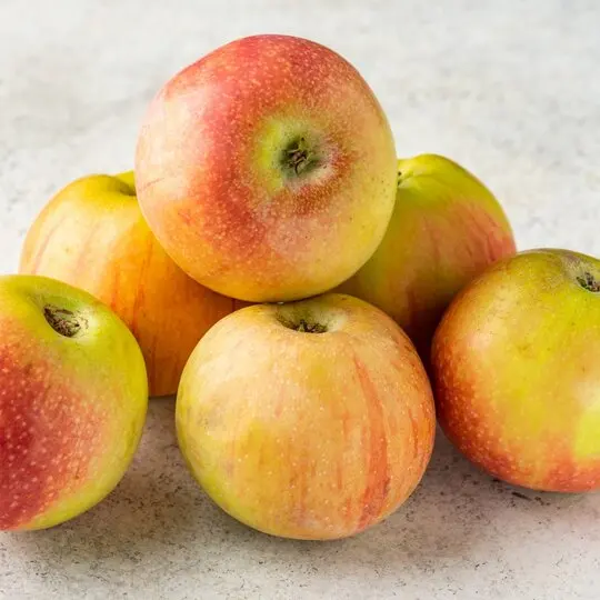 Jabloko – victoire 25g | AliExpress