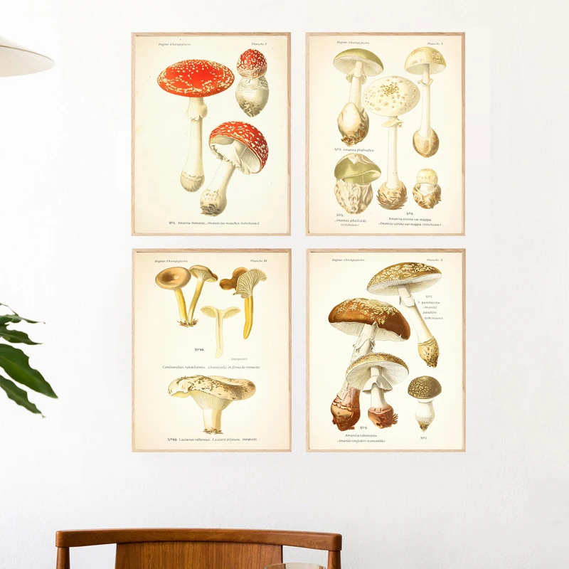 Vintage Mushroom Prints