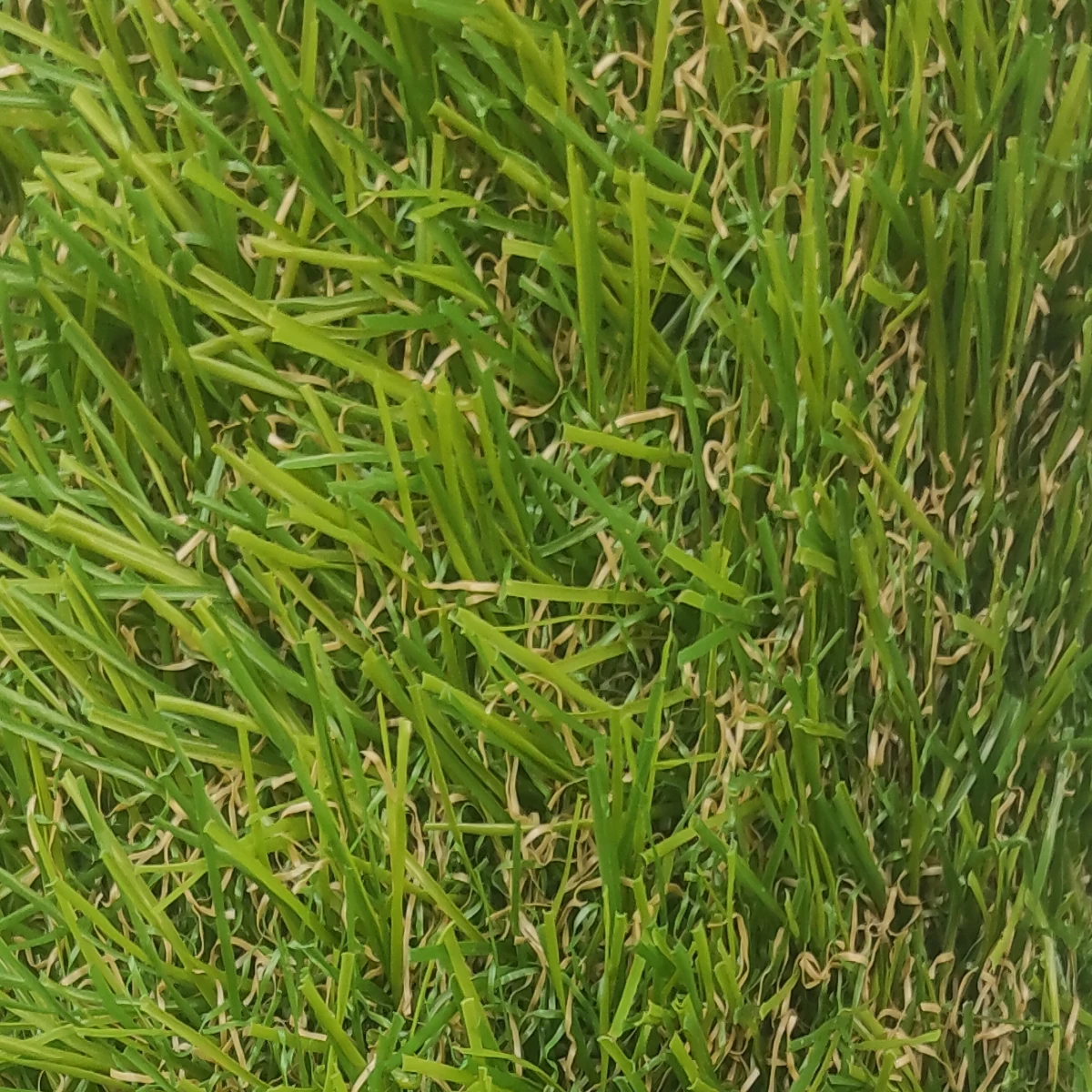 Comercial-Candela-Artificial-Lawn-Garden-Outdoor-Roll-30mm-Cuatritono ...