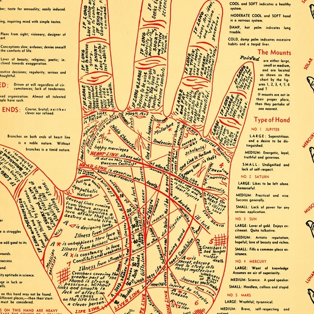 Palmistry Chart Meanings