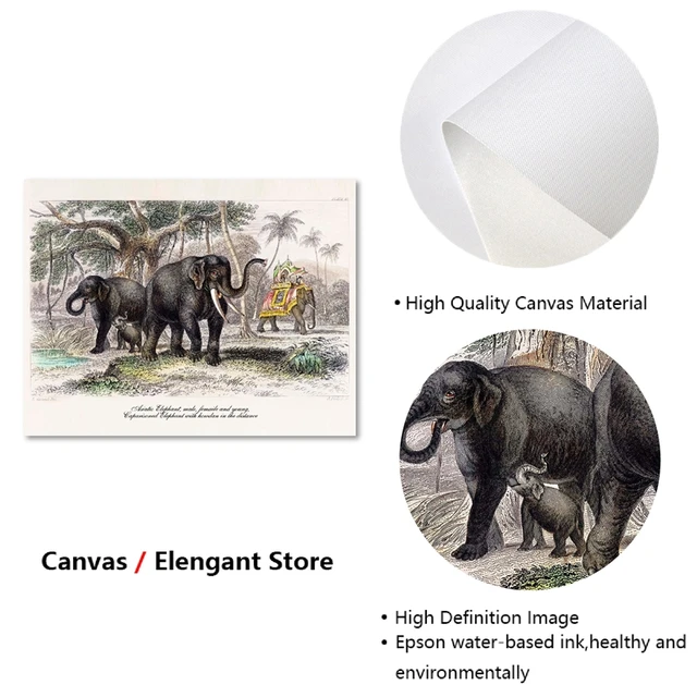Vintage Elephant Poster