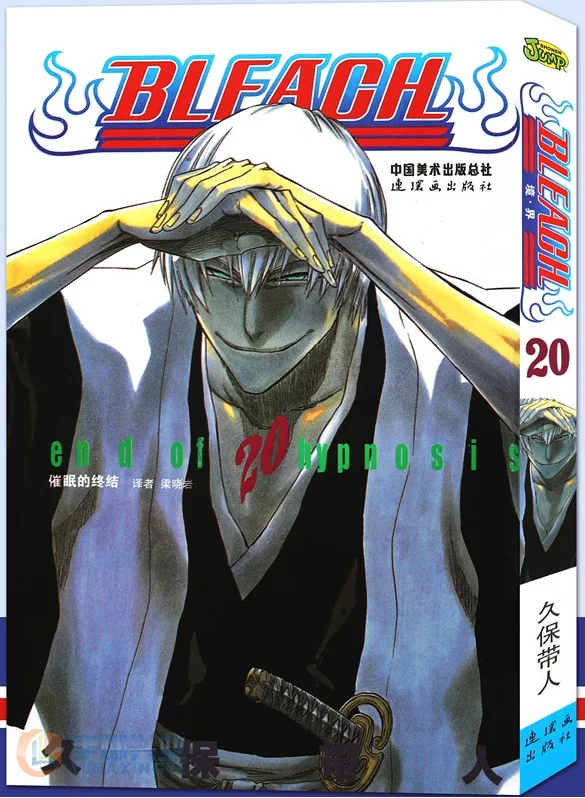 Bleach Manga Cover 20