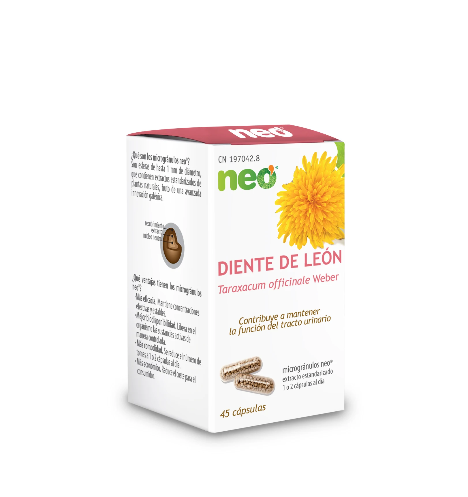 NEO-Dried-dandelion-extract-200-mg-45-natural-capsules-With-diuretic ...