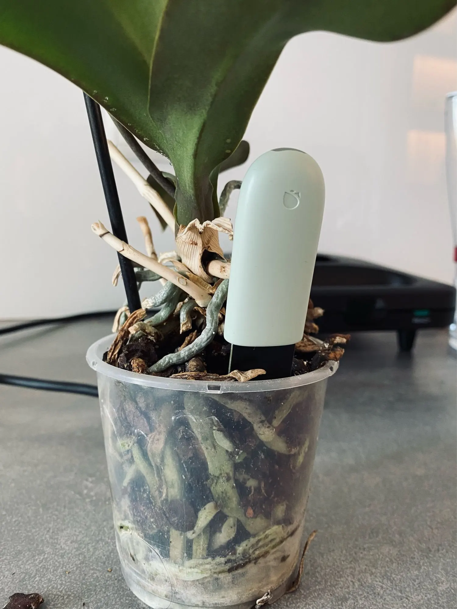 Plant & Flower Smart Sensors - Plant Sensors & Smart Plant Monitor ...