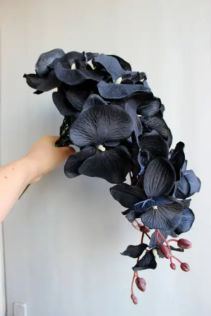 Bouquet Di Fiori Di Orchidea Nera