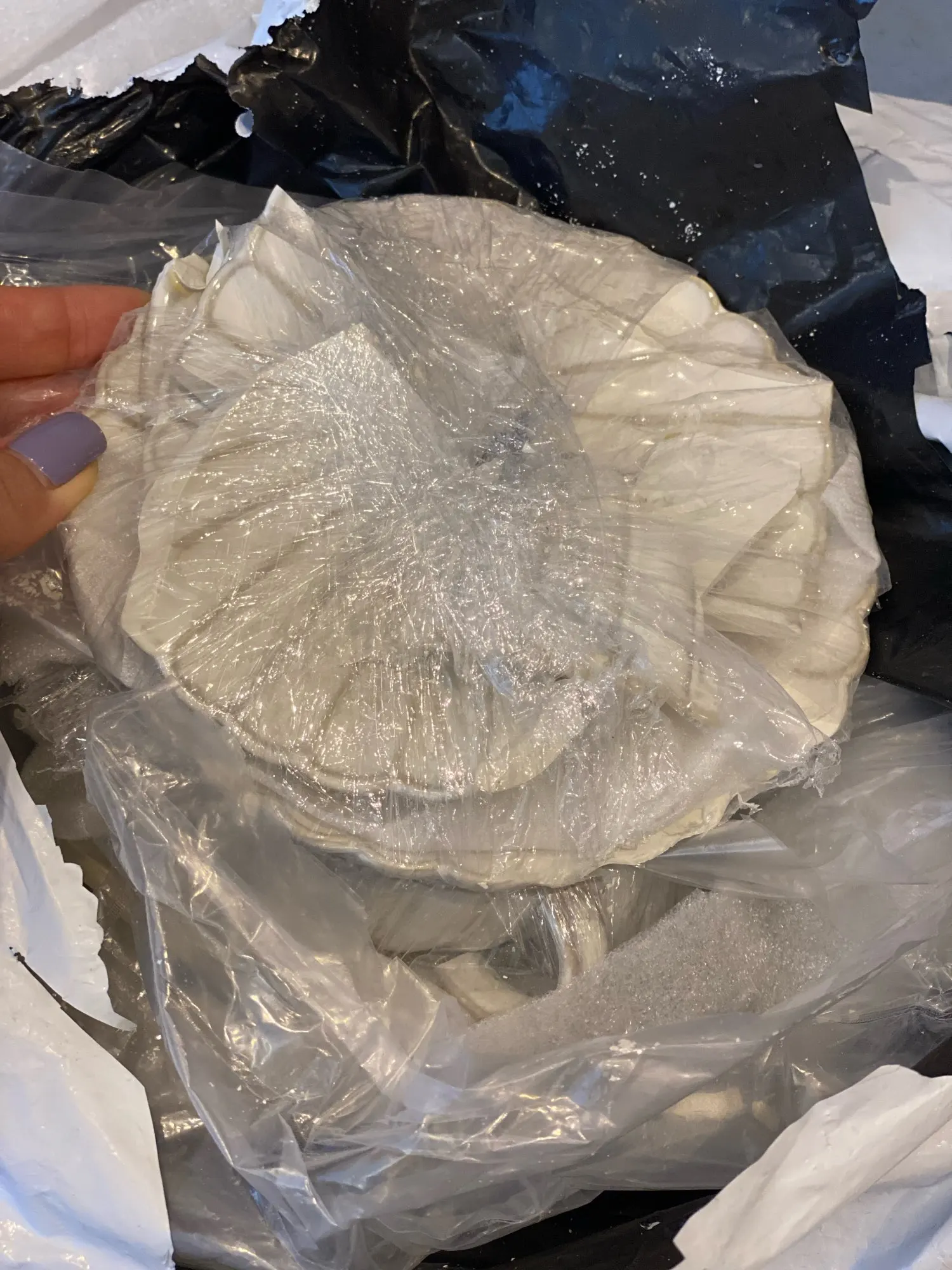 Aiko Cup + Saucer – EDEN + ASH