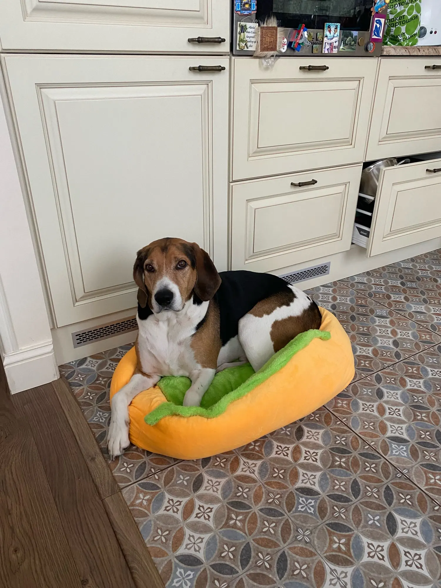 Hot Dog Dog Bed | Funny Dog Beds – DogMega.Com