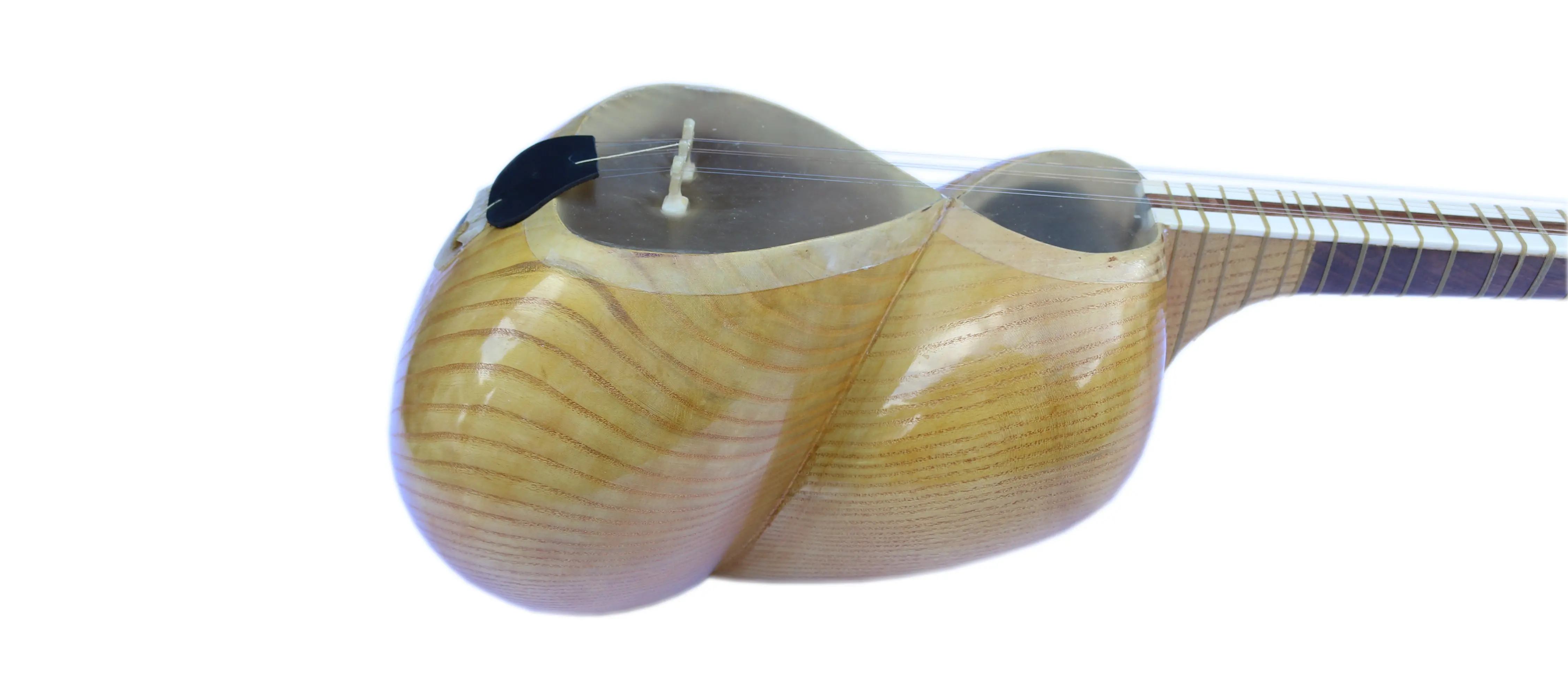 Iranian Tar String Instrument