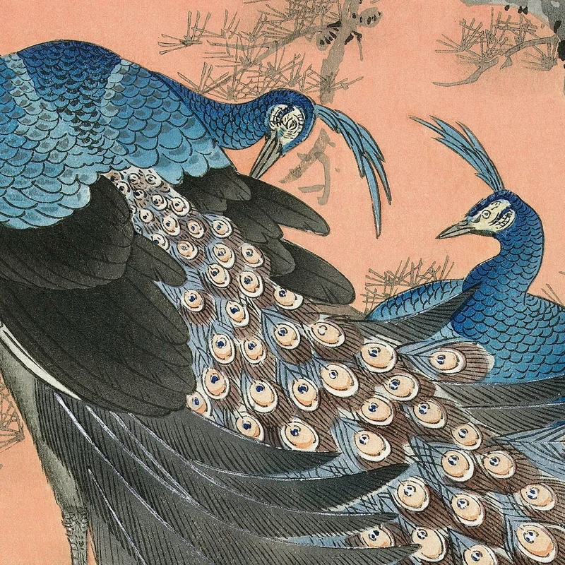Lukisan Burung Merak