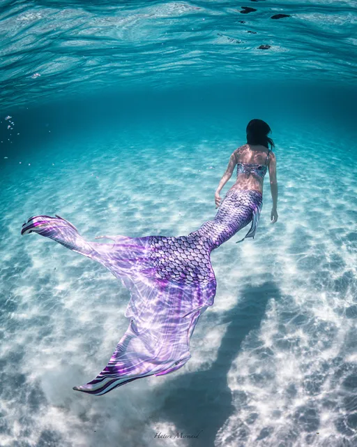 Realistic Purple Mermaid Tails