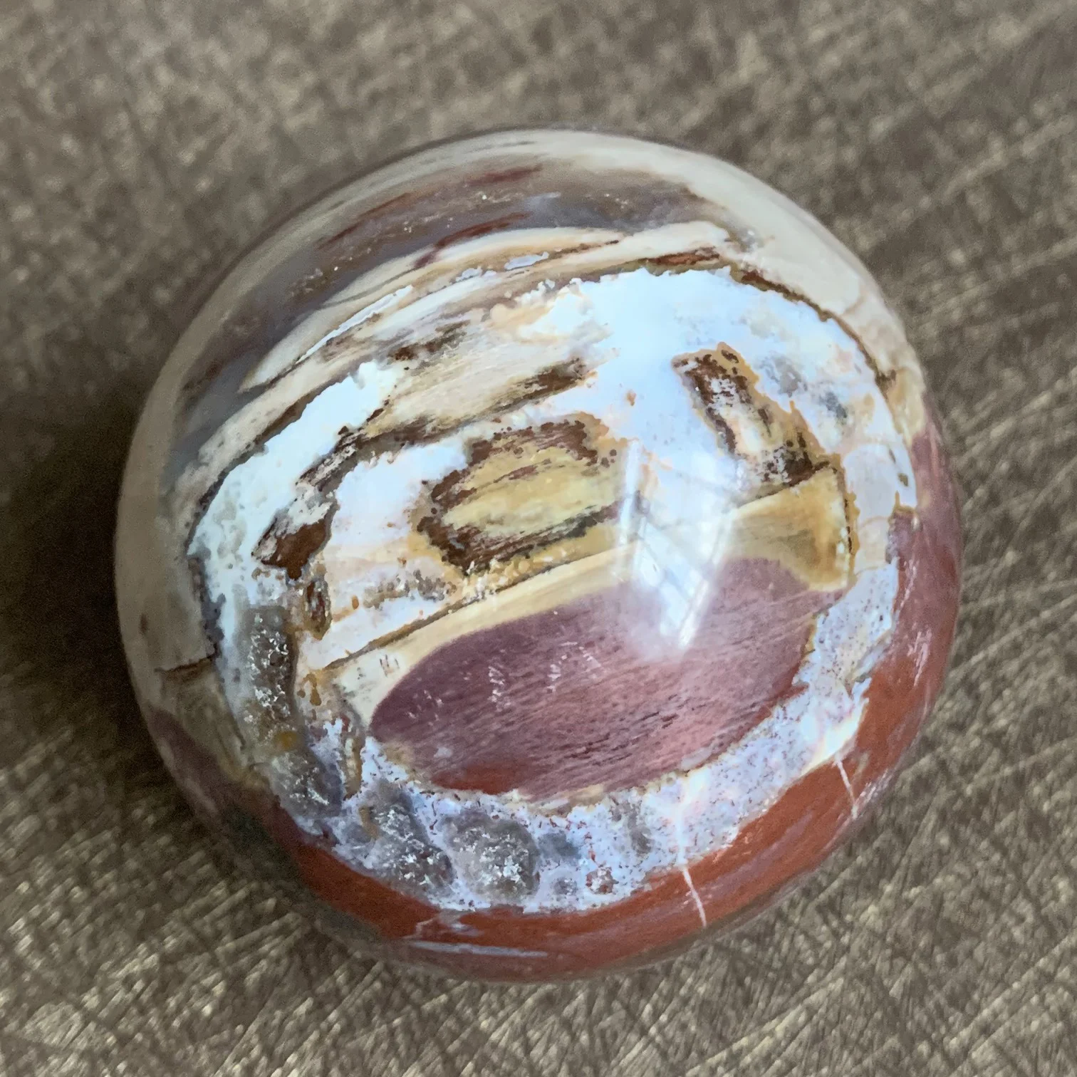 Natural Stone Petrified Wood Sphere Rock Polished Crystal Ball Quartz ...