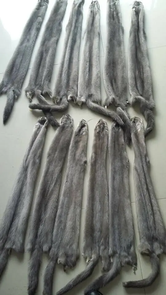 Natural Design Cheapest Mink Fur Skins / Fur Skins Pelt / Raw Fur Skins ...