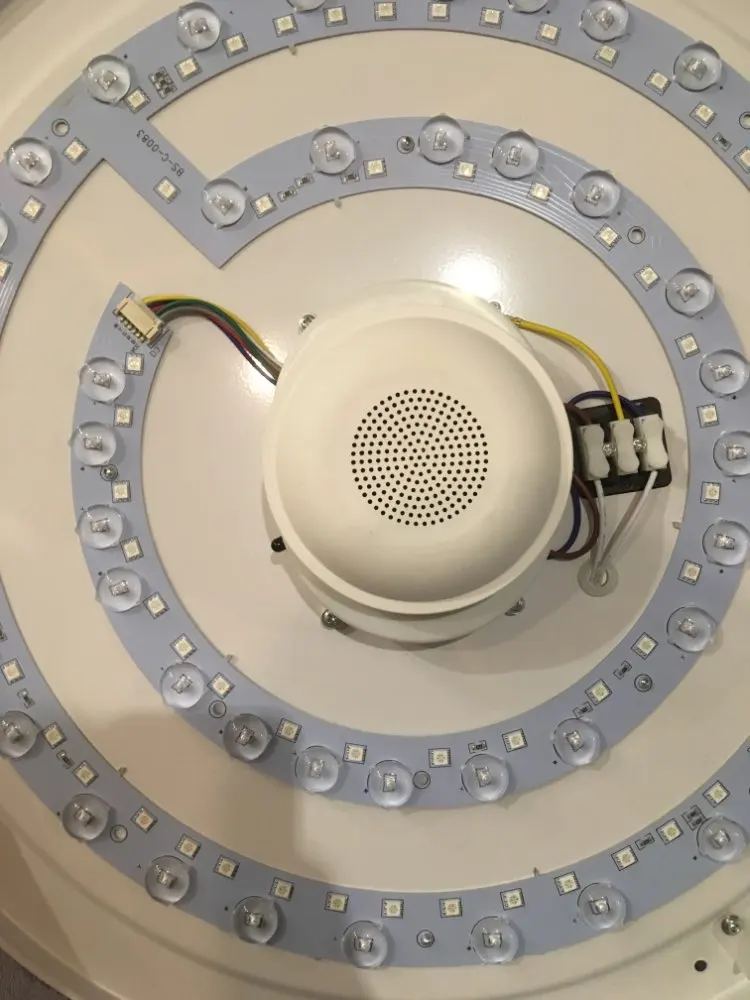 LED Ceiling Lights Multifunctional Lamp - Life Changing Products