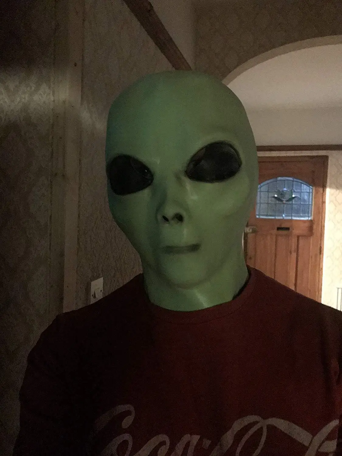 Alien Latex Mask. Glow in The Dark, Roswell Full Head. Costume ...