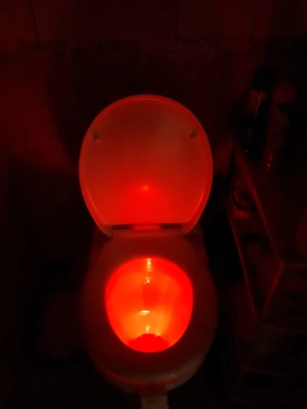 LED Bathroom Lights Toilet Lamp - Life Changing Products