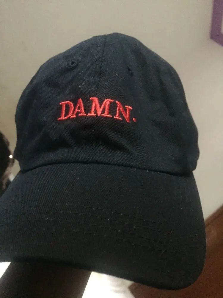 Damn Hat (3 Colors) | Dad Hats and Dad Caps