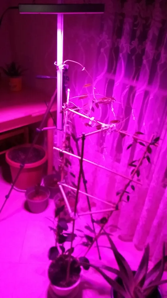 Full Spectrum Light LED Panel - Life Changing Products