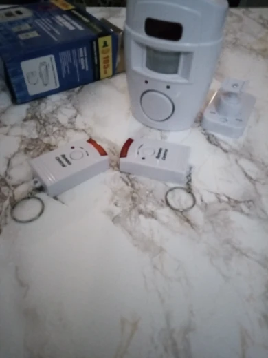 Motion Detector Security Systems - Life Changing Products