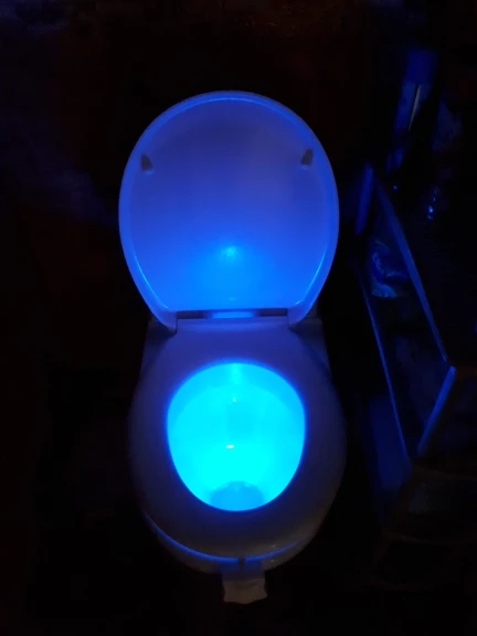 LED Bathroom Lights Toilet Lamp - Life Changing Products