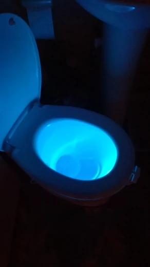 LED Bathroom Lights Toilet Lamp - Life Changing Products