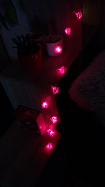 LED Rose String Lights (Set of 10) - Life Changing Products