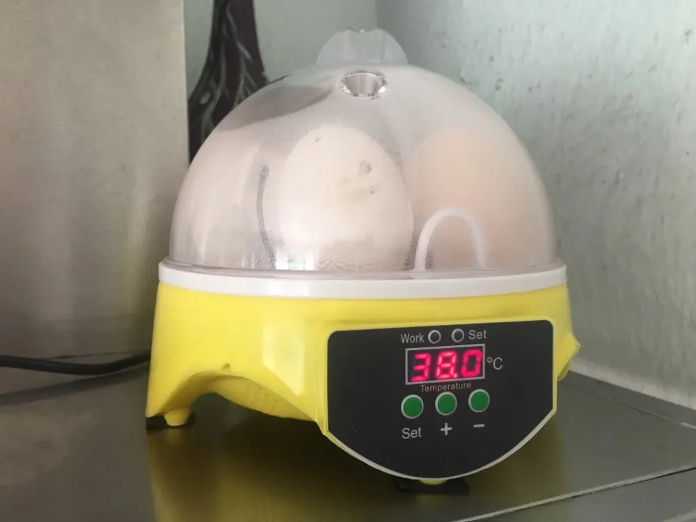 Egg Incubator Farm Brooder Kit - Life Changing Products