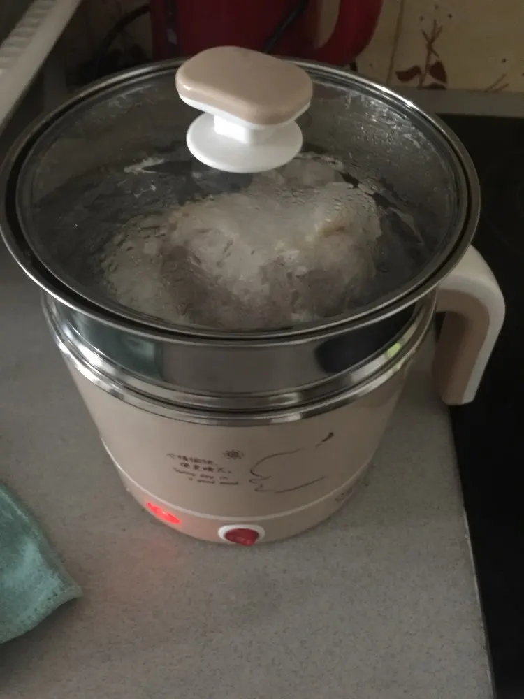 Mini Portable Electric Stainless Steel Food Steamer - Life Changing ...