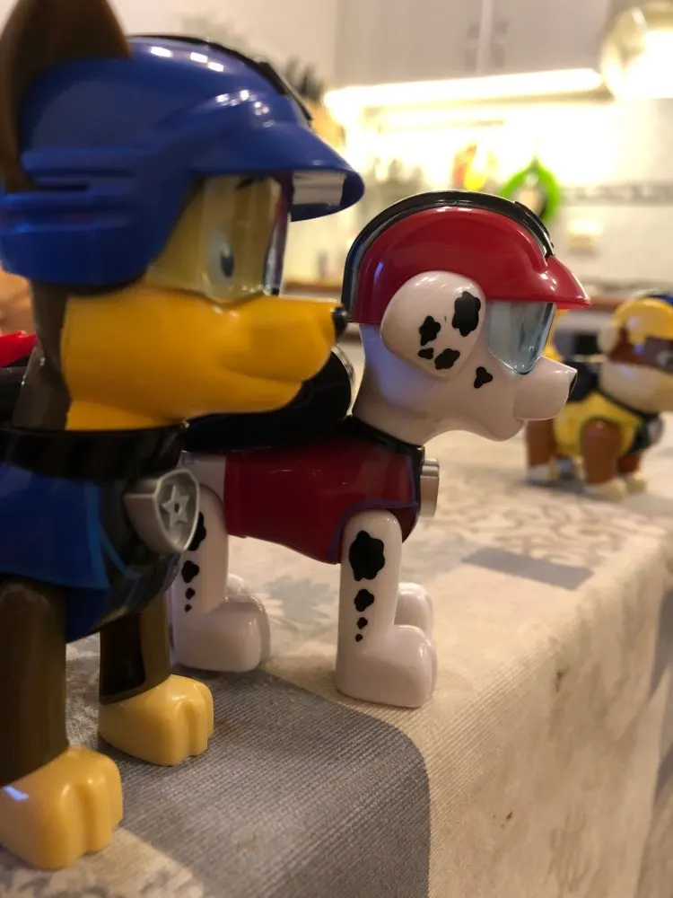 Fun Toys Paw Patrol Playset - Life Changing Products