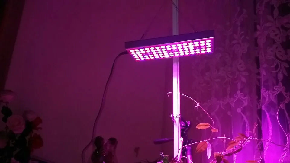 Full Spectrum Light LED Panel - Life Changing Products